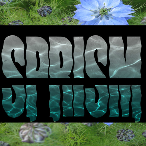 Stream Sprism music | Listen to songs, albums, playlists for free on ...