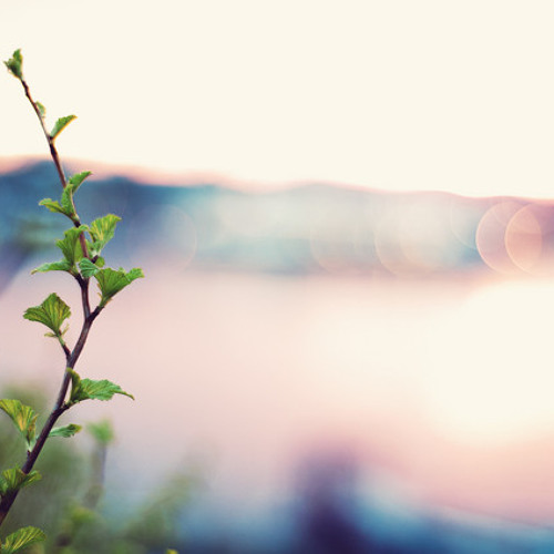 Stream Declan Wynne music | Listen to songs, albums, playlists for free ...