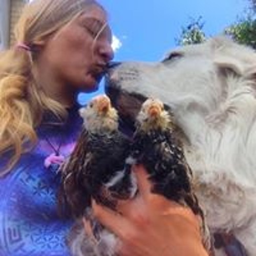 Stream Emma Bee music | Listen to songs, albums, playlists for free on ...