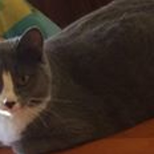 Stream Rylee Lynch music | Listen to songs, albums, playlists for free ...