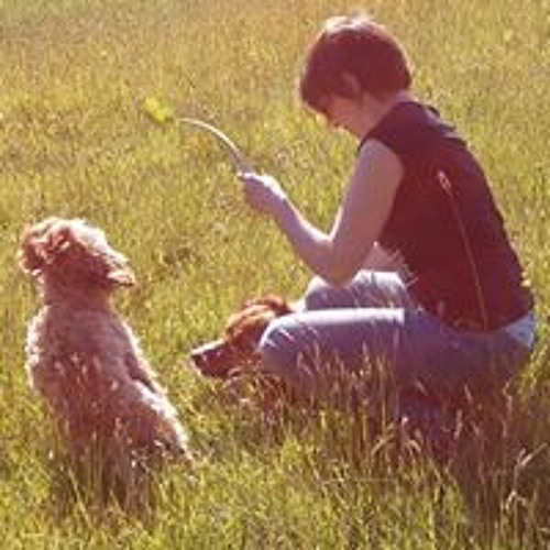 Stream Hannah Dougan music | Listen to songs, albums, playlists for ...