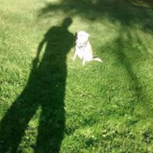 Stream Mark Bailes music | Listen to songs, albums, playlists for free ...