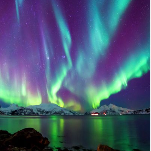 Stream Connie Nguyen 3 music | Listen to songs, albums, playlists for ...