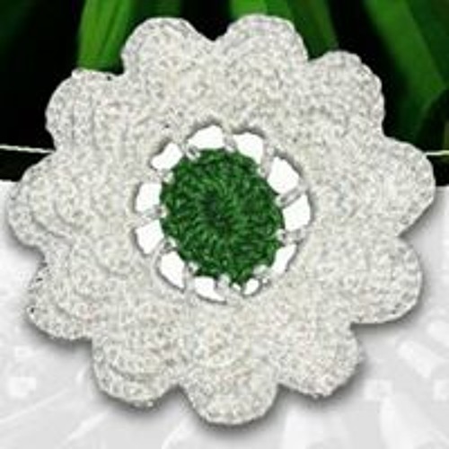 Stream Enis Dedic music | Listen to songs, albums, playlists for free ...