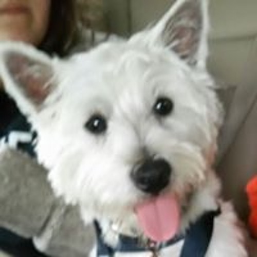 Stream Joanne Turley music | Listen to songs, albums, playlists for ...