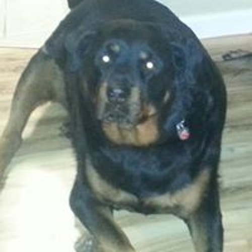 Stream Tony Wall music | Listen to songs, albums, playlists for free on ...