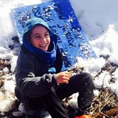 Stream Beeri Tal music | Listen to songs, albums, playlists for free on ...