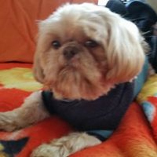 Stream Sheila Carol Pope Pace music | Listen to songs, albums ...