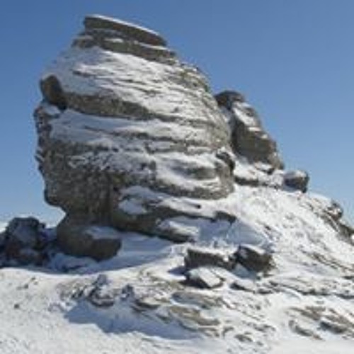 Stream alin music | Listen to songs, albums, playlists for free on ...