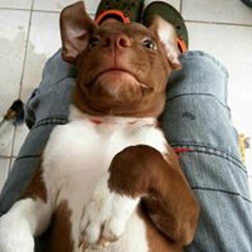 Stream Victoria Viveros music | Listen to songs, albums, playlists for ...