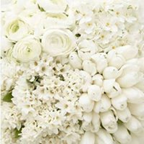 Stream Nour Seif music | Listen to songs, albums, playlists for free on ...