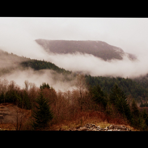 Stream Tim Cheel music | Listen to songs, albums, playlists for free on ...