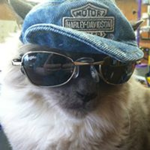 Stream Colleen Simpson music | Listen to songs, albums, playlists for ...