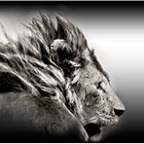 Stream Timothy Carl Williams music | Listen to songs, albums, playlists ...