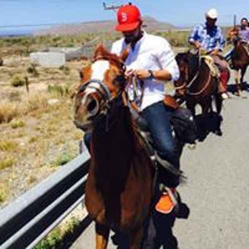 Stream Alejandro Cosio Garcia music | Listen to songs, albums ...