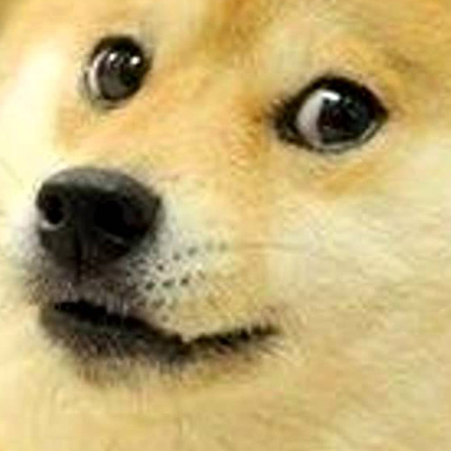 Stream Keep Calm and Doge music | Listen to songs, albums, playlists ...