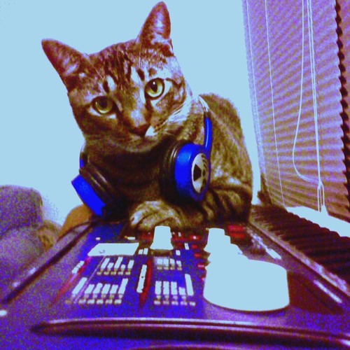 Stream Peter Ivanoff music | Listen to songs, albums, playlists for ...