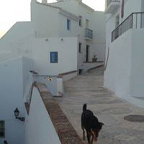 Stream Maini Lyli music | Listen to songs, albums, playlists for free ...