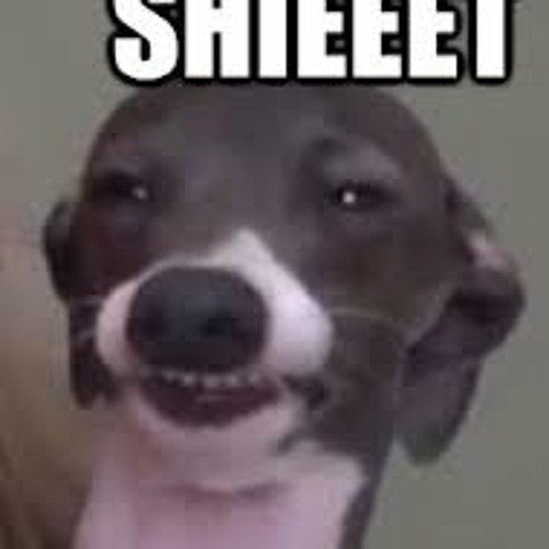 Stream Shiieet music | Listen to songs, albums, playlists for free on ...