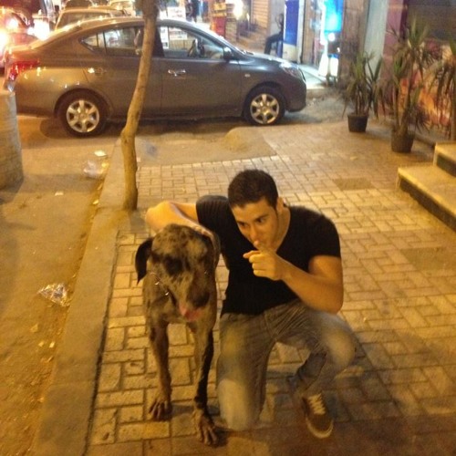 Stream Shady Houssin Salama music | Listen to songs, albums, playlists ...