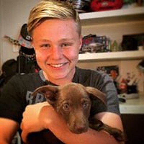 Stream Will Cusack music | Listen to songs, albums, playlists for free ...