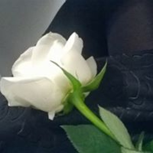 Stream Musonda Mukuka music | Listen to songs, albums, playlists for ...