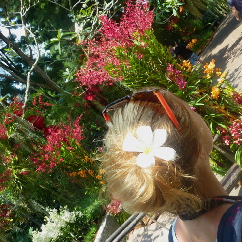 Stream Annina S. music | Listen to songs, albums, playlists for free on ...