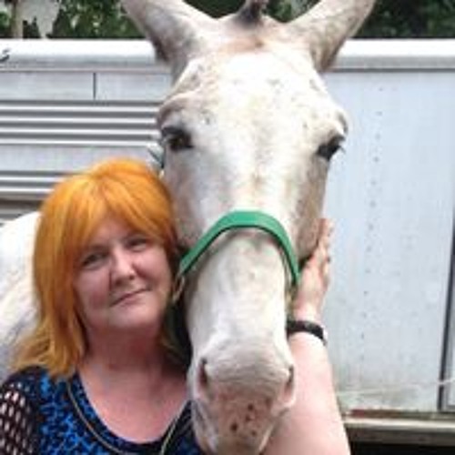 Stream Frank's The Other Woman by Nancy Shuster | Listen online for ...