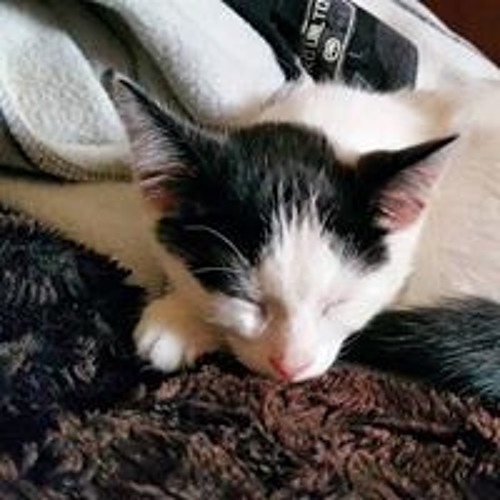 Stream Amanda Deacon music | Listen to songs, albums, playlists for ...