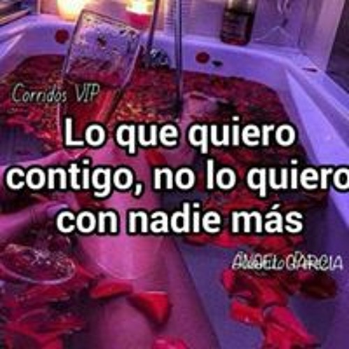 Stream Alexis Engel El Sanchez music | Listen to songs, albums ...