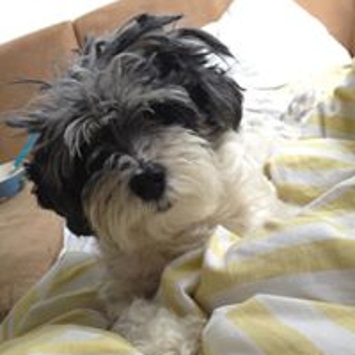 Stream Topsu music | Listen to songs, albums, playlists for free on ...