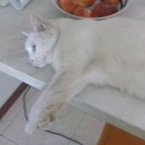 Stream Fabrizio Istrice Negri music | Listen to songs, albums ...