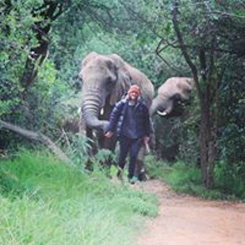 Stream Mick Freeman music | Listen to songs, albums, playlists for free ...