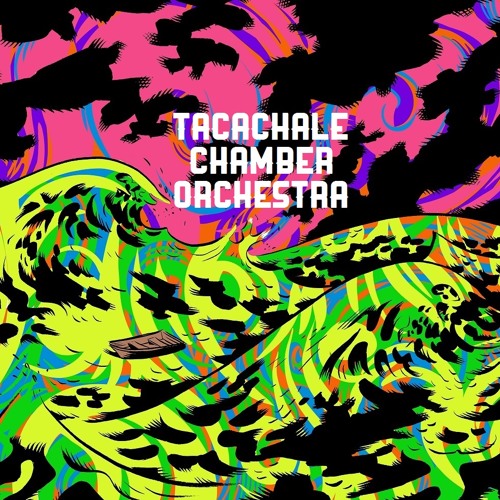 Stream Tacachale Chamber Orch. music | Listen to songs, albums ...