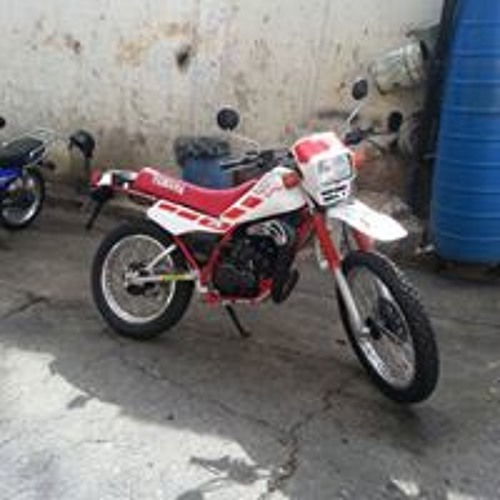 Stream Freidman Franquiz Music Listen To Songs Albums Playlists For