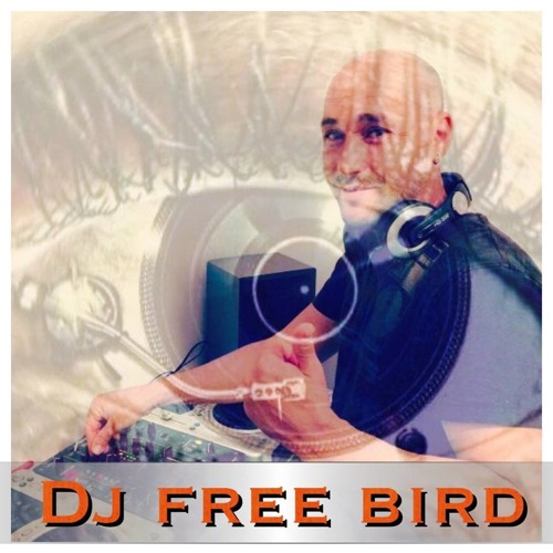 Stream Dj Free Bird music | Listen to songs, albums, playlists for free ...