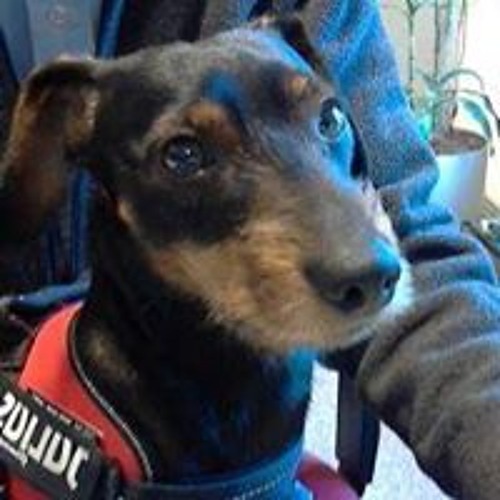 Stream Ruud Otten music | Listen to songs, albums, playlists for free ...