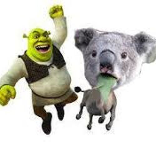 Stream koala_trap_lord music | Listen to songs, albums, playlists for ...