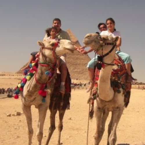 Stream Adel Michael (Rashed) music | Listen to songs, albums, playlists ...