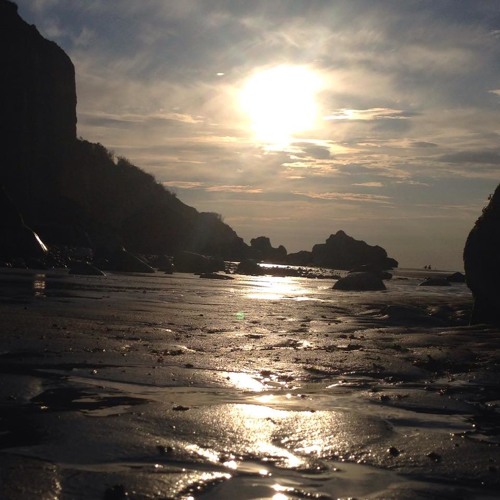 Stream Choopa Choops music | Listen to songs, albums, playlists for ...