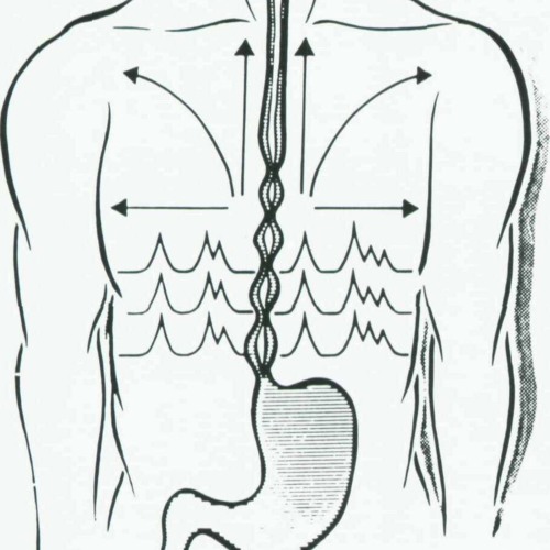 Stream Peristaltika music | Listen to songs, albums, playlists for free ...