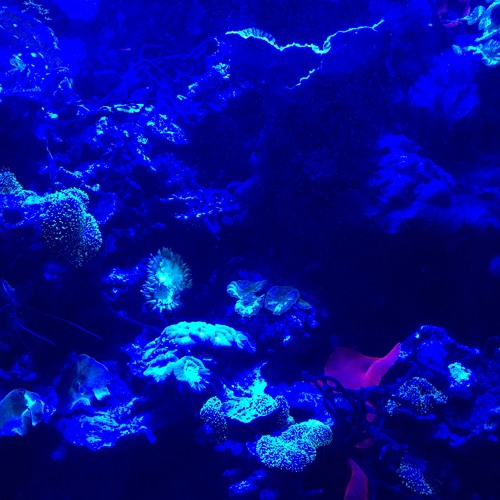 Stream Brontone Management music | Listen to songs, albums, playlists ...