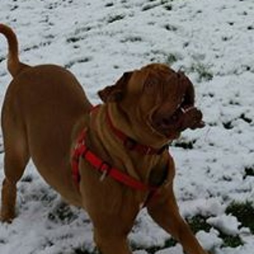 Stream Debbie Barringer music | Listen to songs, albums, playlists for ...