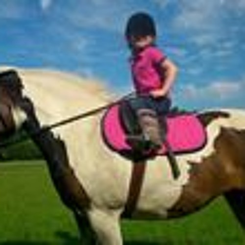 Stream Shelly Lerwill music | Listen to songs, albums, playlists for ...