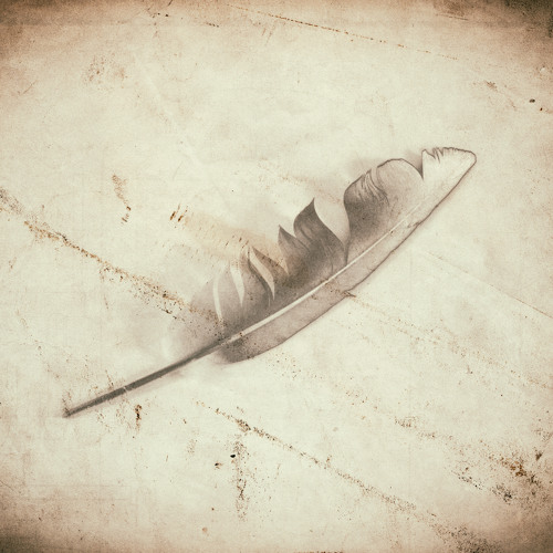 Stream Anna's Bones music | Listen to songs, albums, playlists for free ...