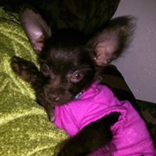 Stream Aurora Pnug music | Listen to songs, albums, playlists for free ...