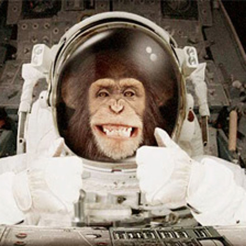 Stream Apollo Apes music | Listen to songs, albums, playlists for free ...