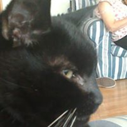 Stream Kim Arrowsmith music | Listen to songs, albums, playlists for free on SoundCloud