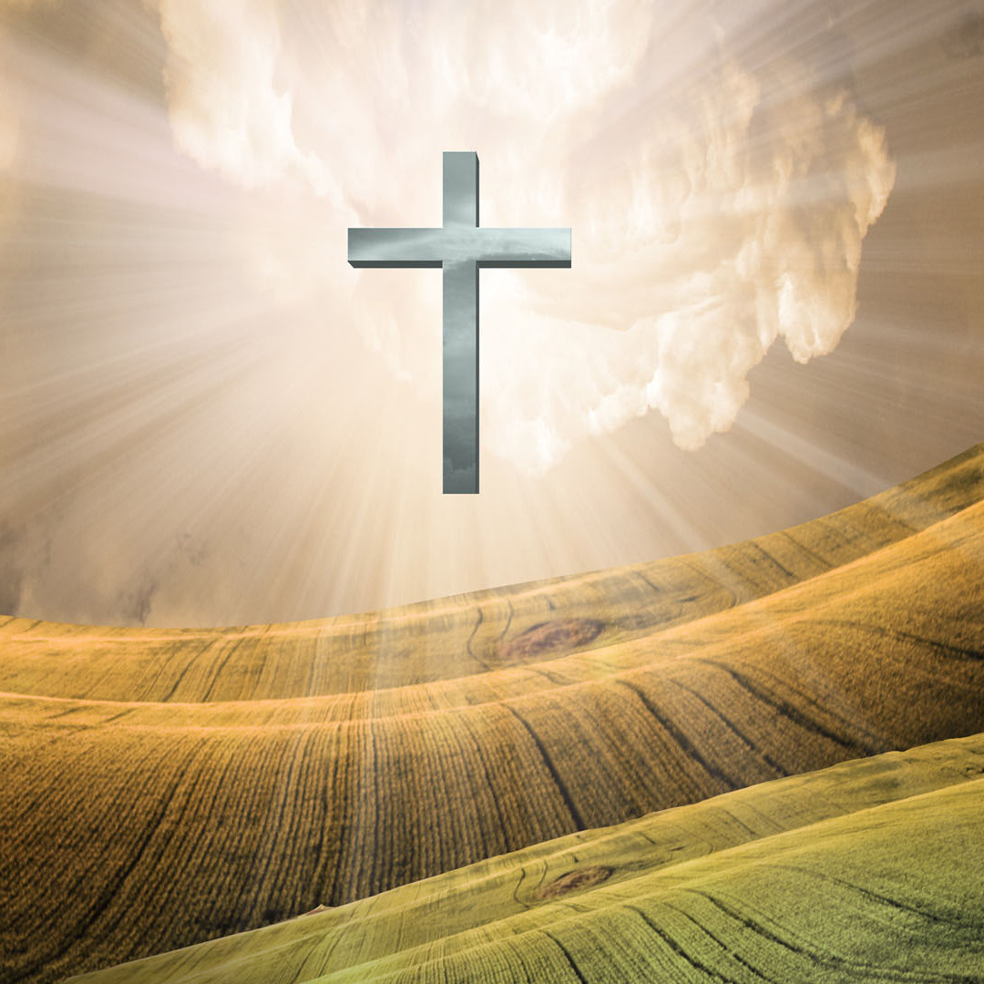 Stream Zemary Hawaz Tegegne-Ye Erefte Bota - YaleLik by Ethiopian ...