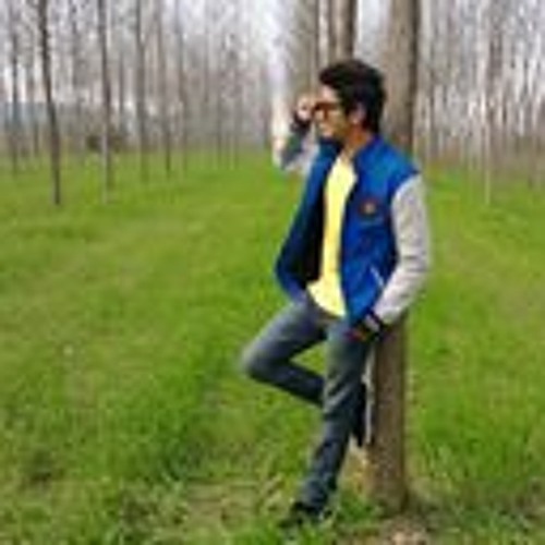 Stream Bhavya Singhal music | Listen to songs, albums, playlists for ...